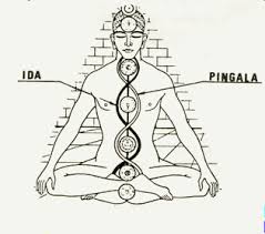 ida pingala - Yogadima